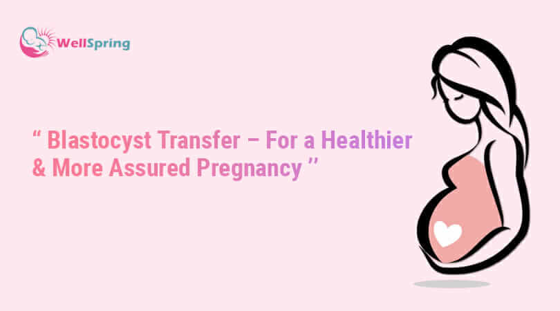 How Blastocyst Transfer help For a Healthier & More Assured Pregnancy